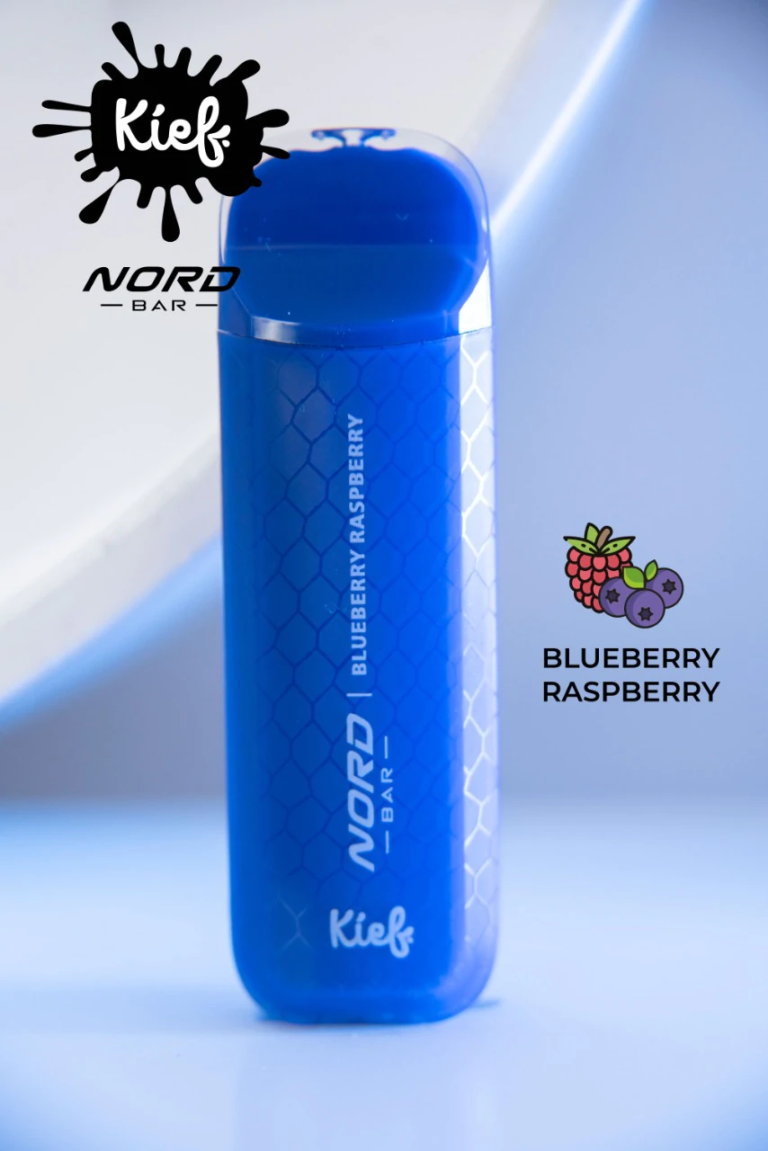 NORD BAR Disposable Pods 4000 puff - Blueberry raspberry ...